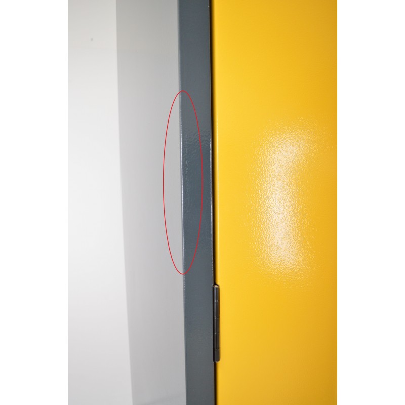 ASECOS - Armoire Sécurité pour Produits Inflammables - Q90.195.120.FD