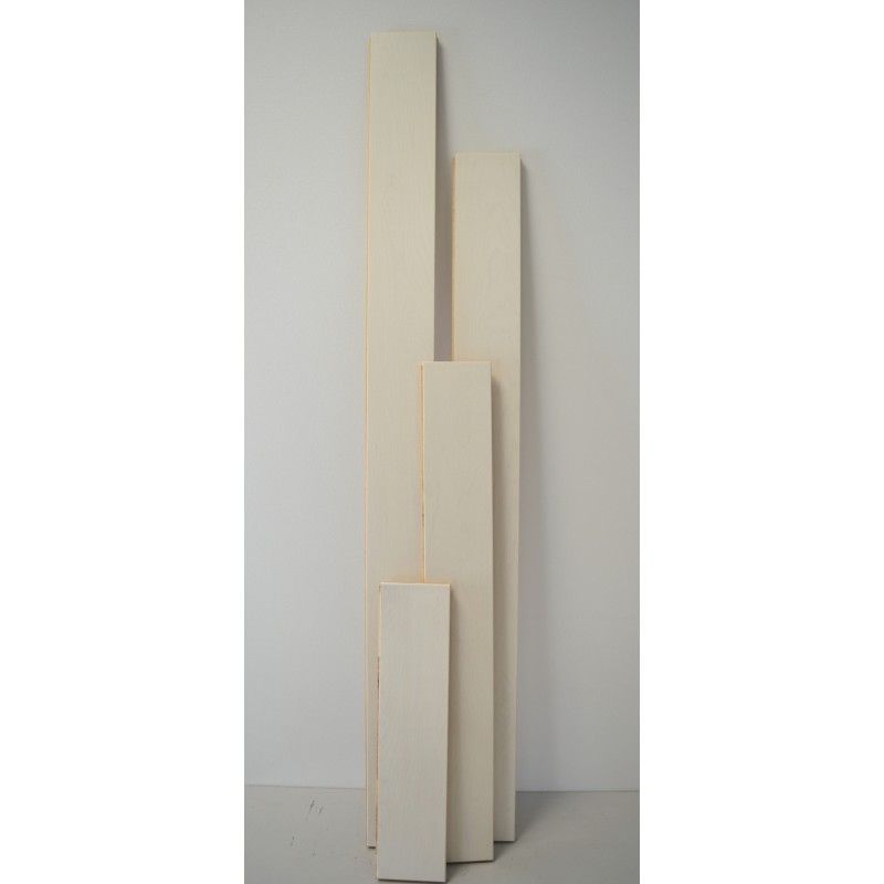 PG MODEL - Parquet 2,7m² de Parquet ExtrêmeMD Blanc Bois Erable AKOYA